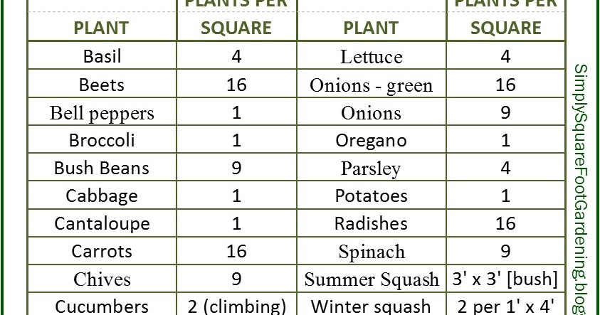 Spacing For Carrots In Square Foot Gardening - all about hobby
