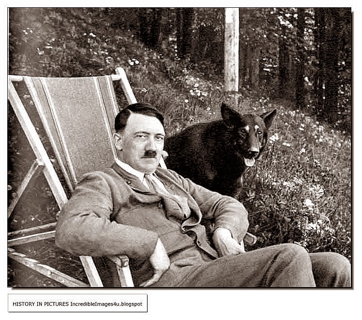 Miscellaneous Marickovich: Must Love Dogs