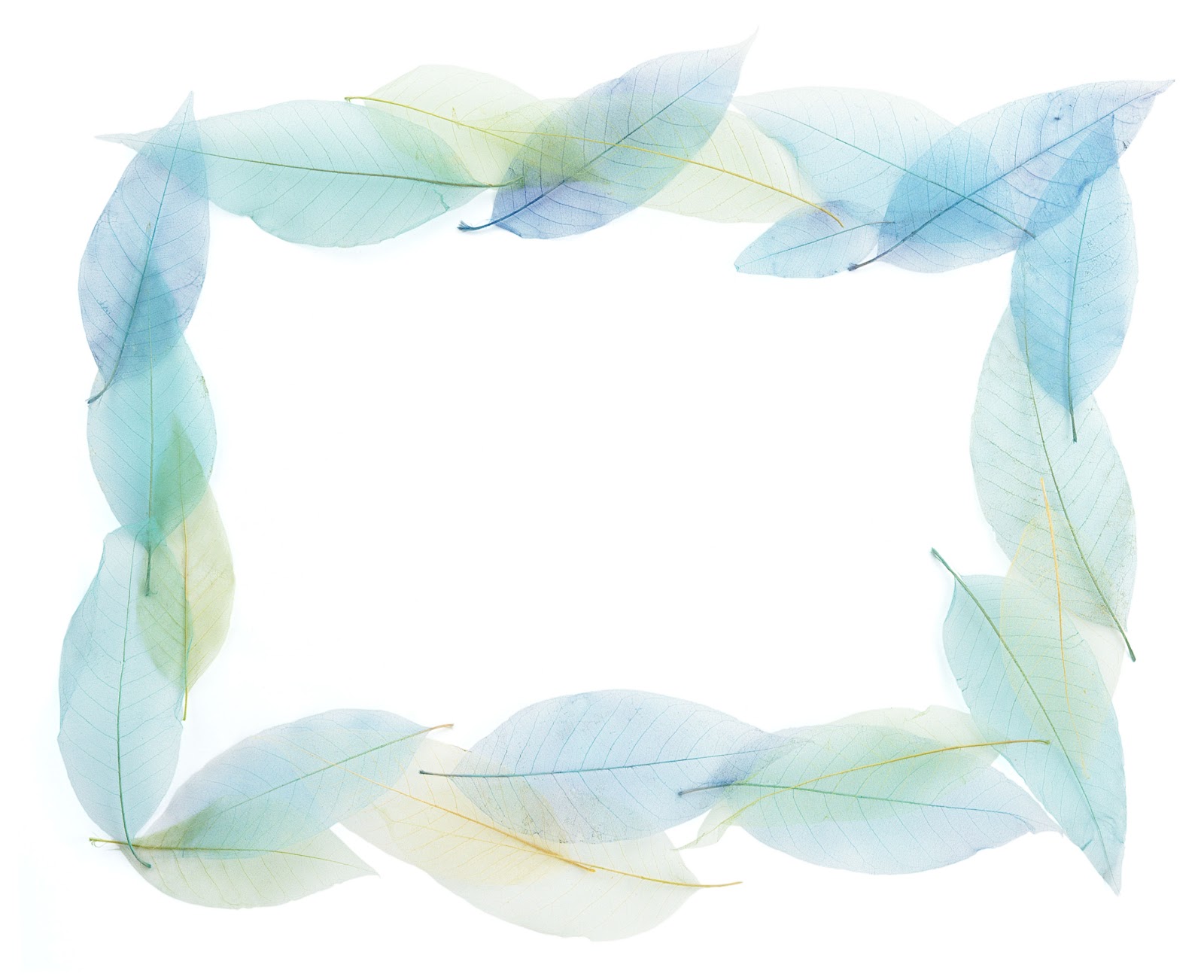 Designed Frame In All Size ~ Hits All