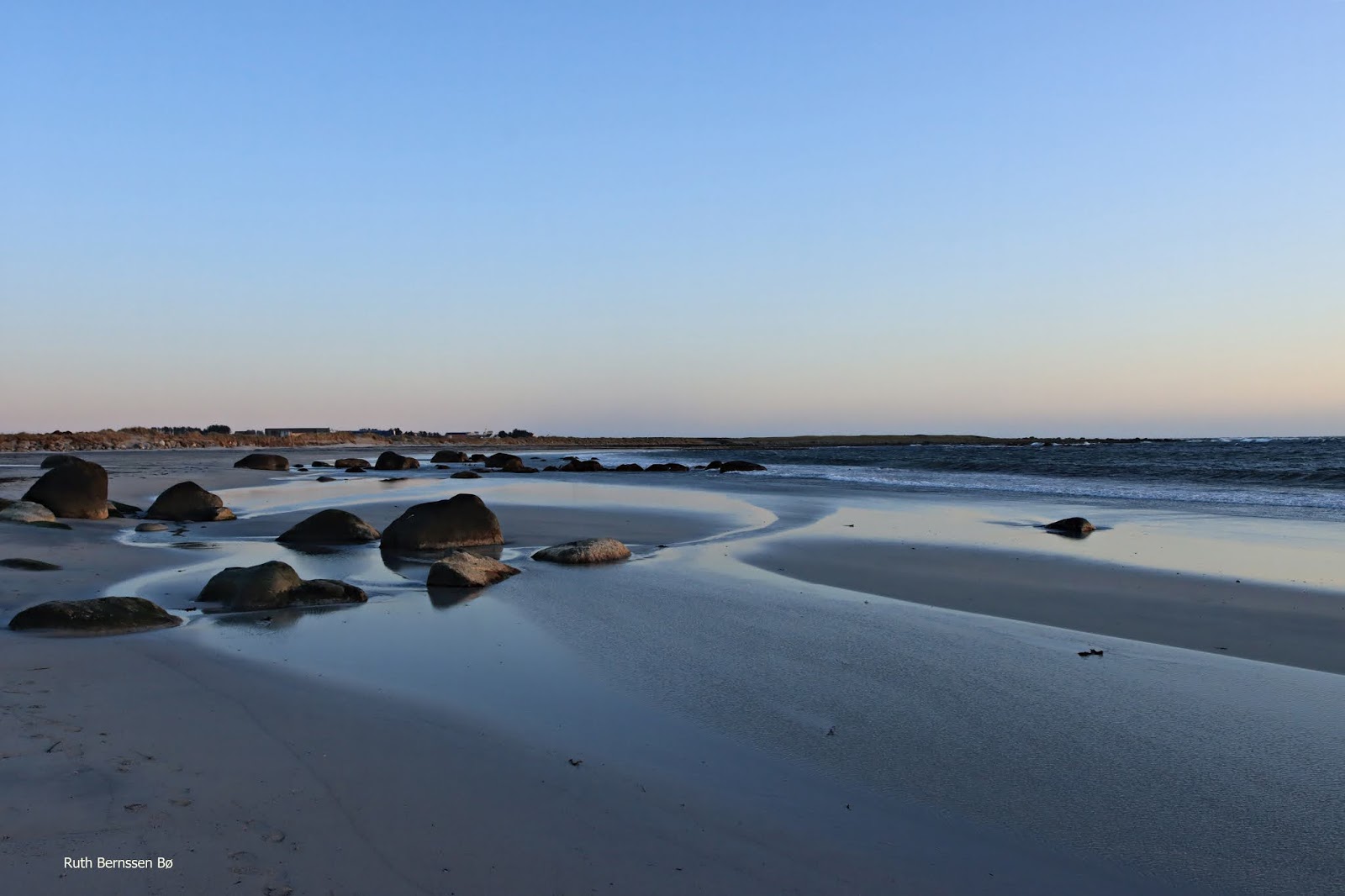 solsikken: sol opp og sol ned..