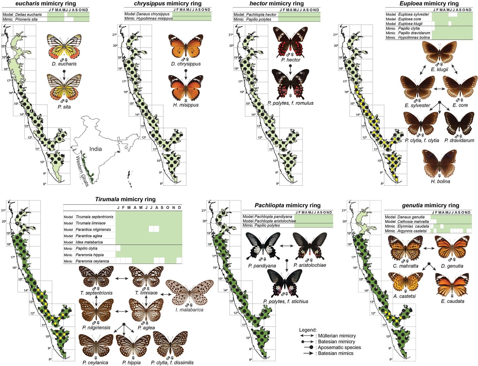 Species New to Science: [Entomology • 2017] Evolutionary Assembly of ...
