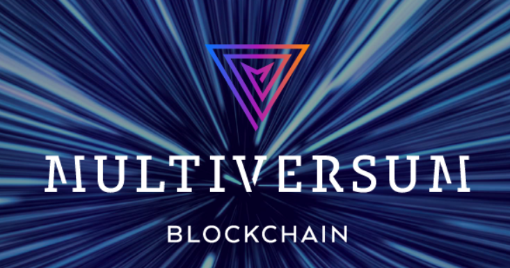 Review on MULTIVERSUM IN ICO