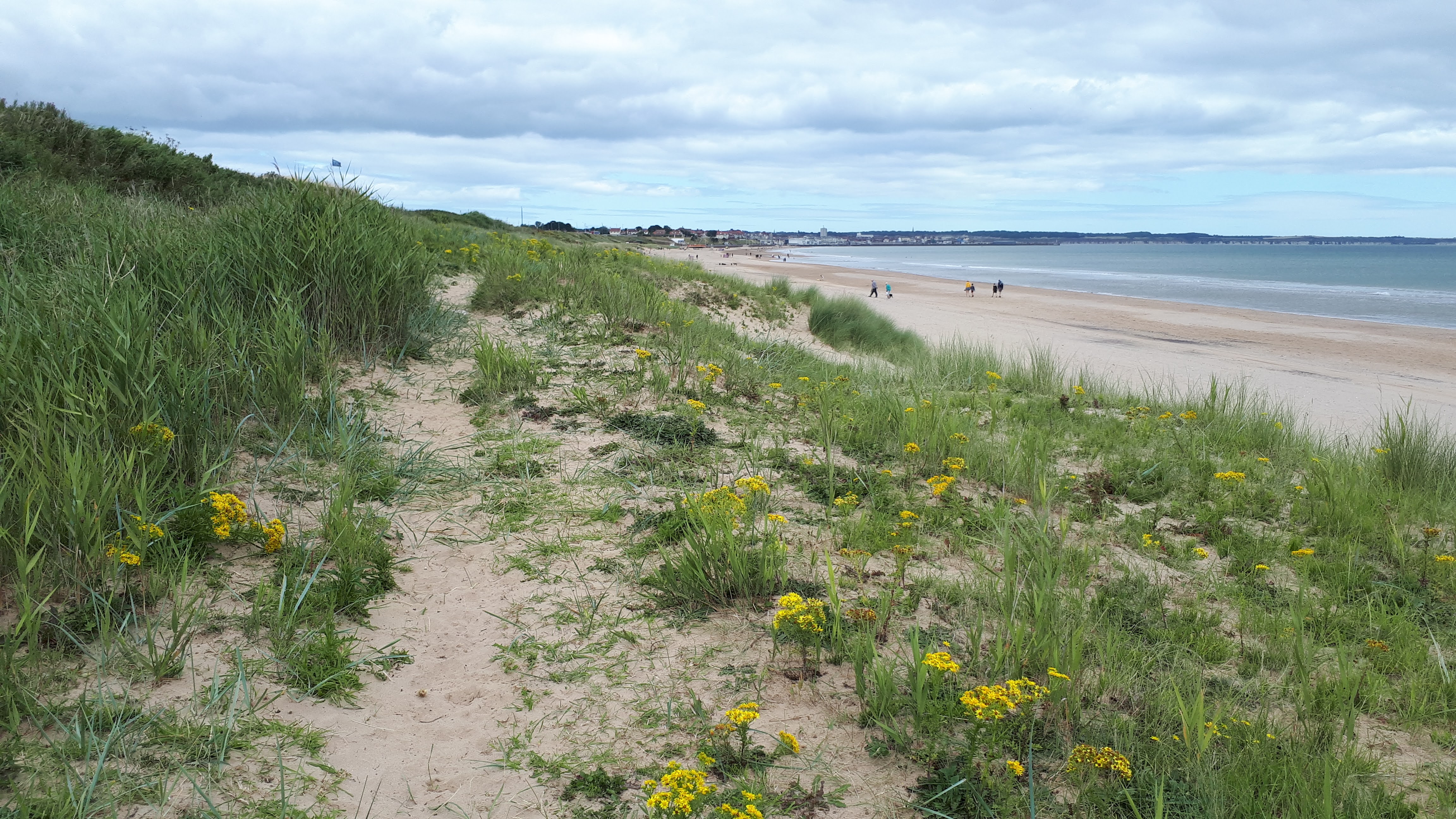Wild at Hull: Migrants Way. Stage 13. Barmston to Bridlington