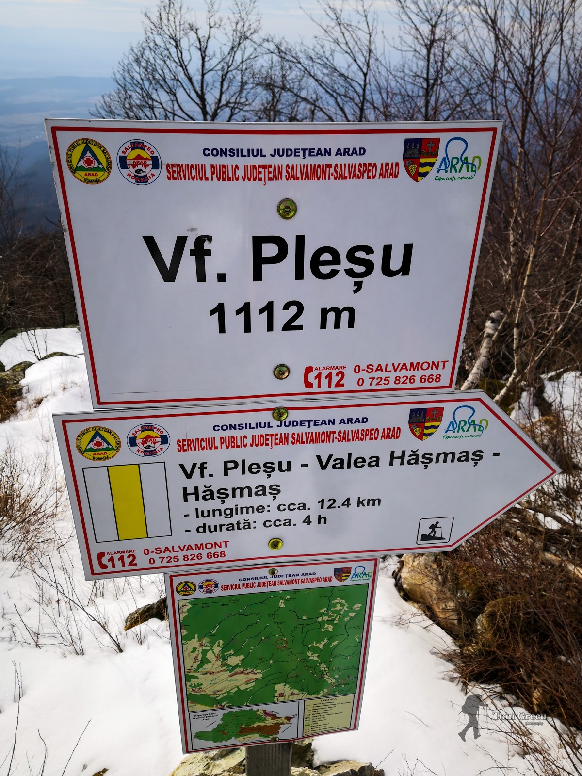 Vârful Pleșu - Munții Codru Moma ~ Jurnal de drumeții