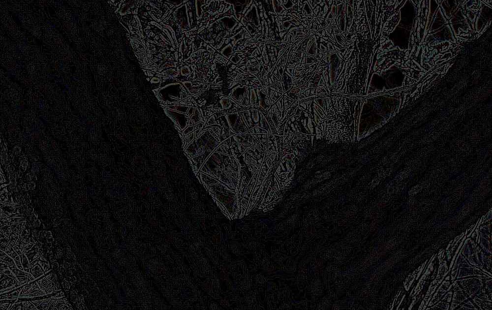 The Scriptures: Mark-05-16