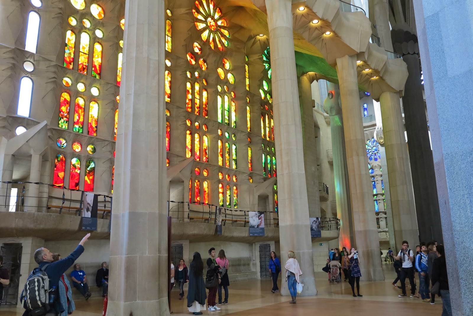 Clemmys guttata: la tortuga moteada: de maig 2014