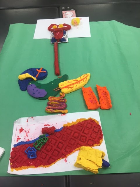 collidingwithscience: Lets Take A Journey Through the Digestive System ...