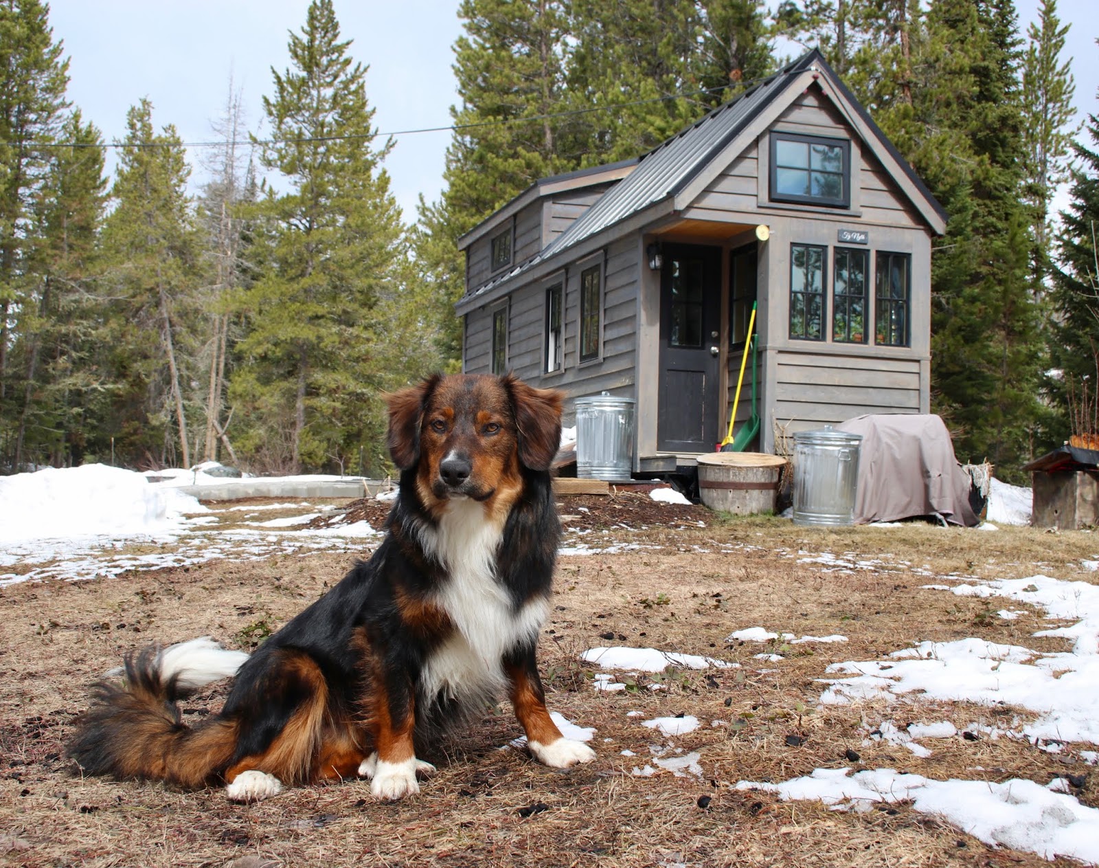 Fy Nyth...: House Photos