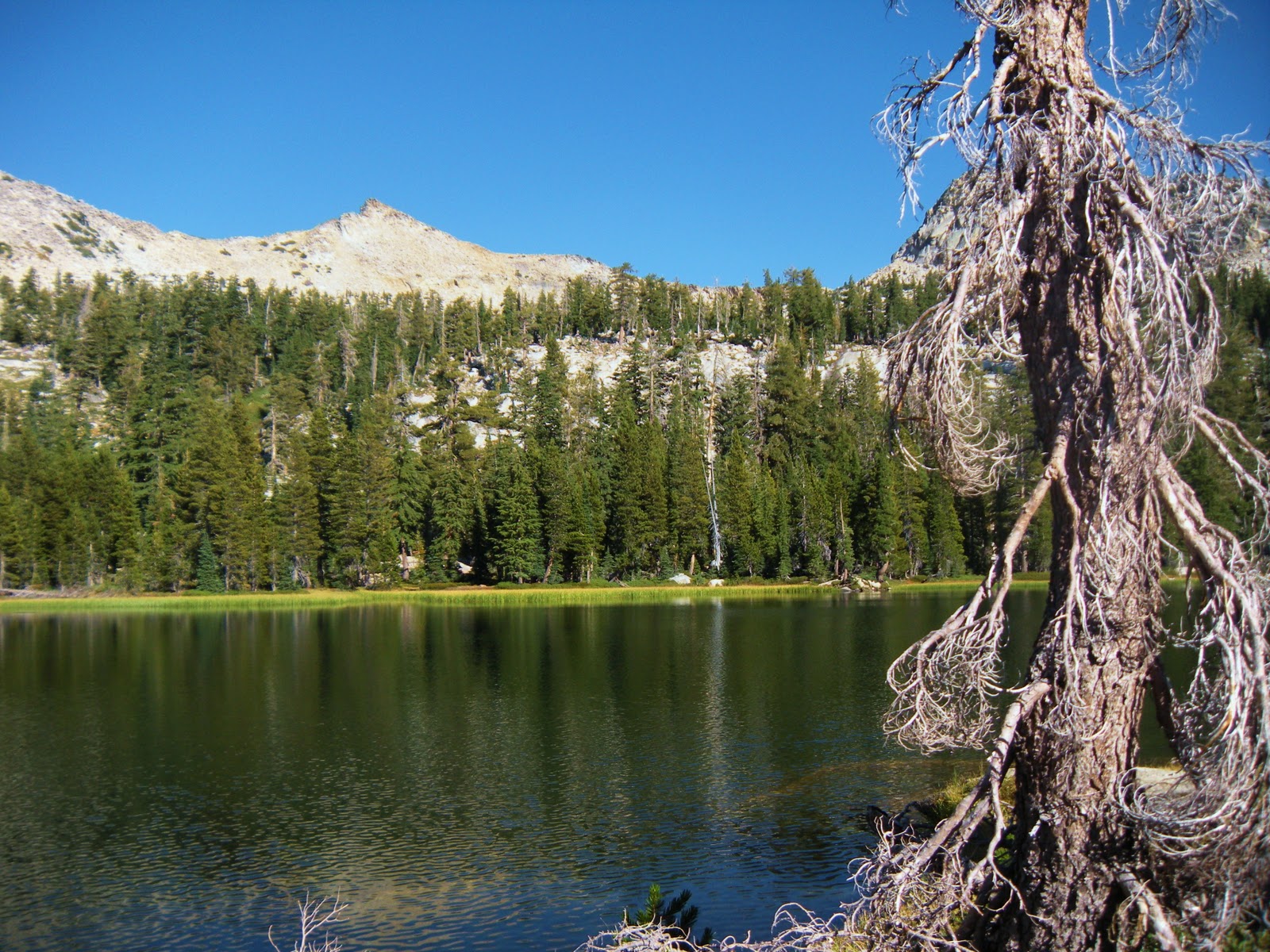 Peachy Hiker: Desolation Wilderness Grouse Lake