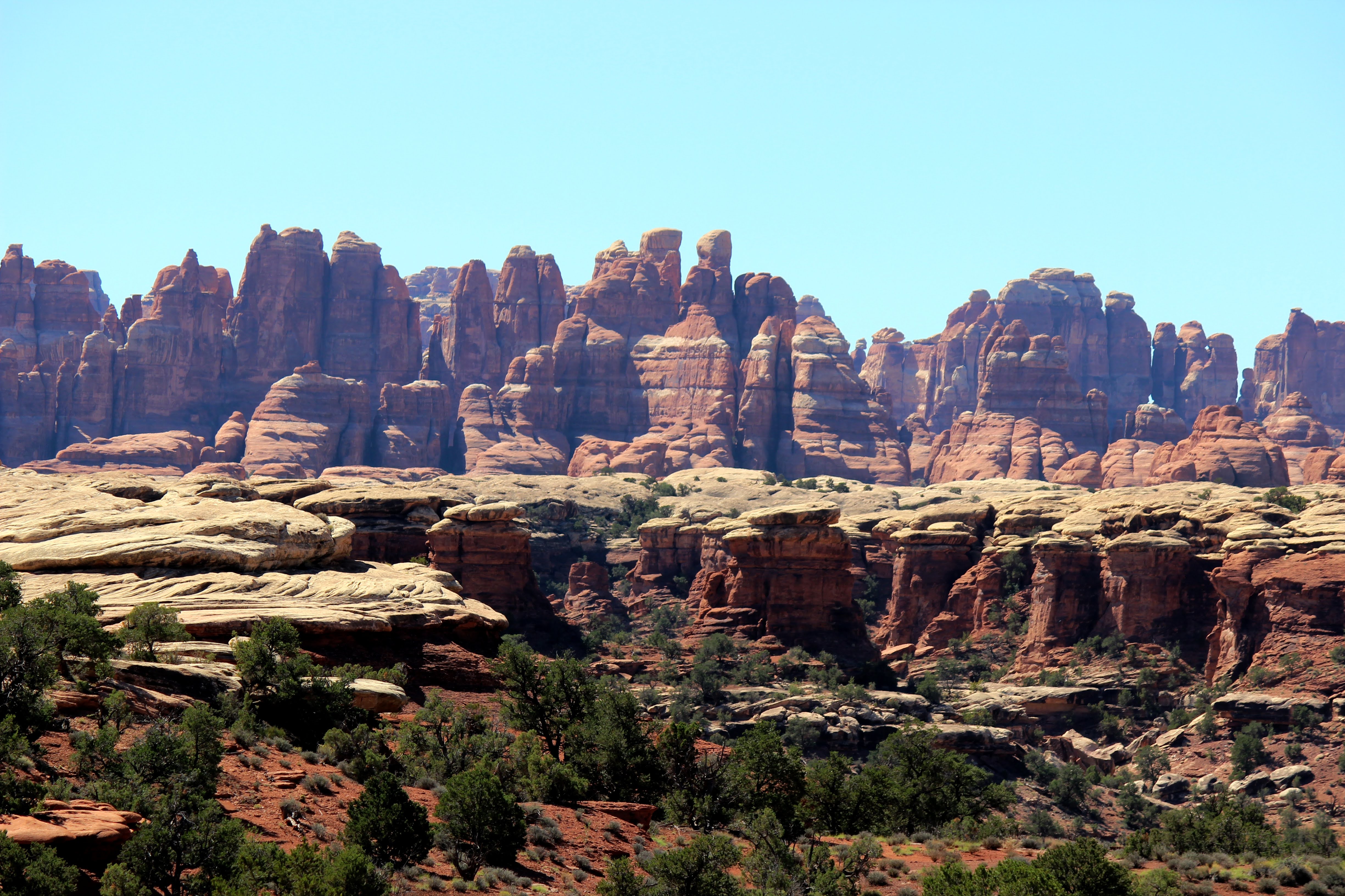 To Behold the Beauty: Canyonlands Needles District: Landscapes