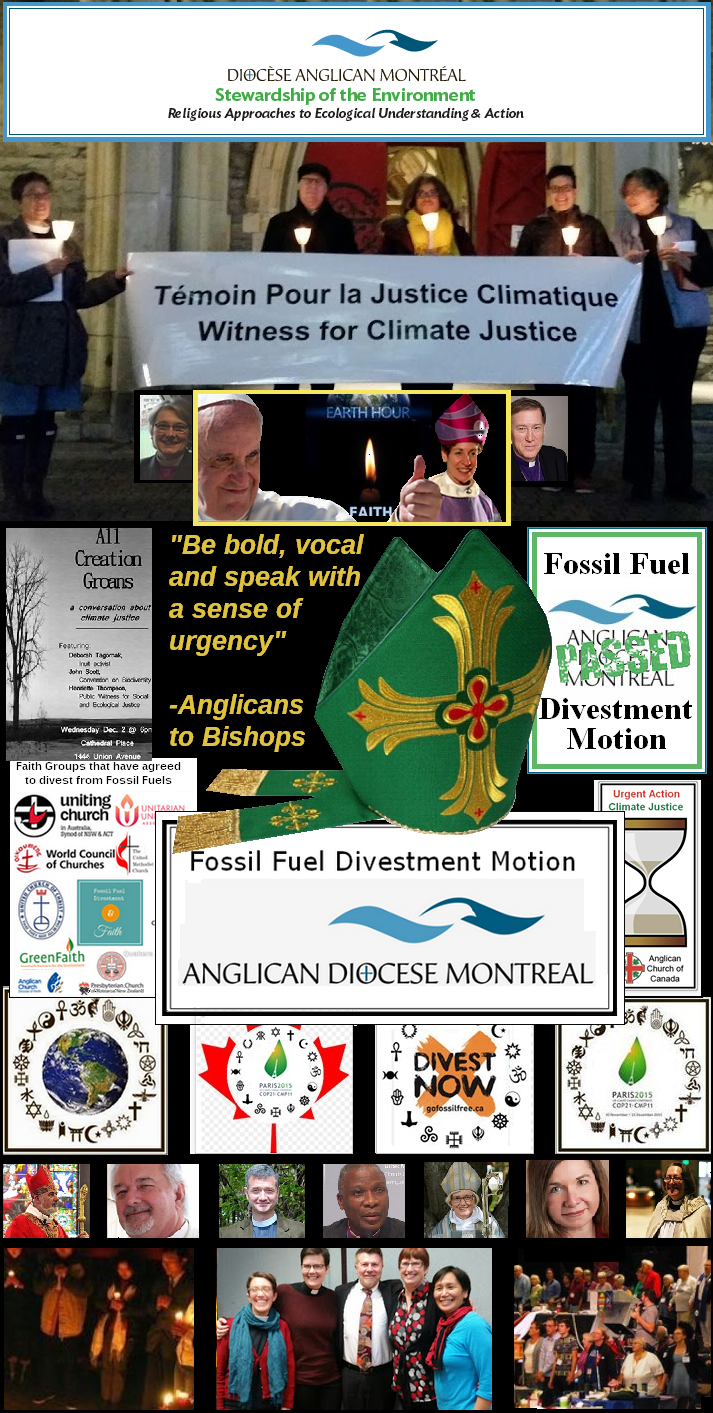 Stewardship of the Environment: Summary of Activities in 2015 ...