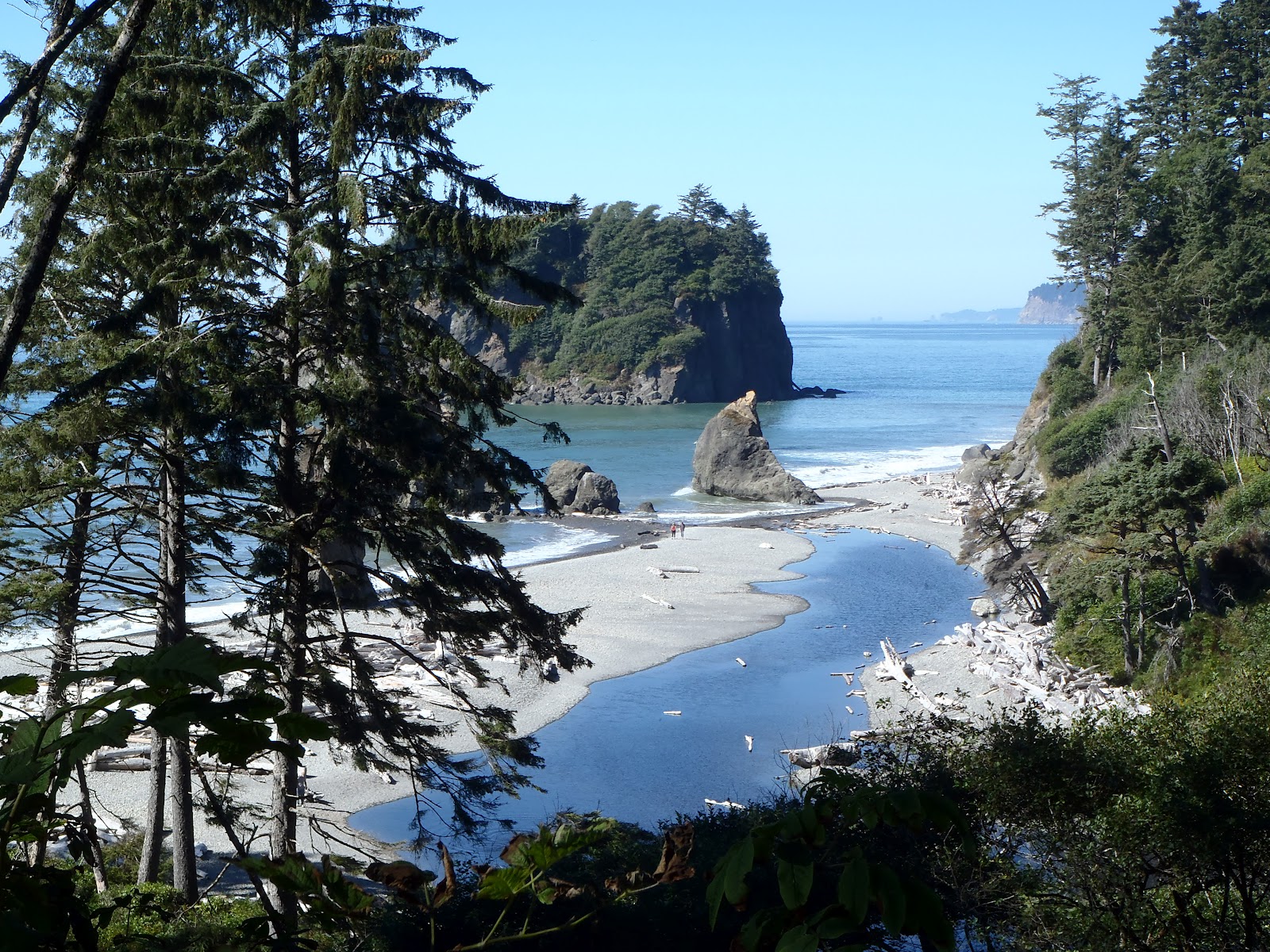 The Travelling McFrothys: Hoh Rainforest, Ruby Beach, Kalaloch