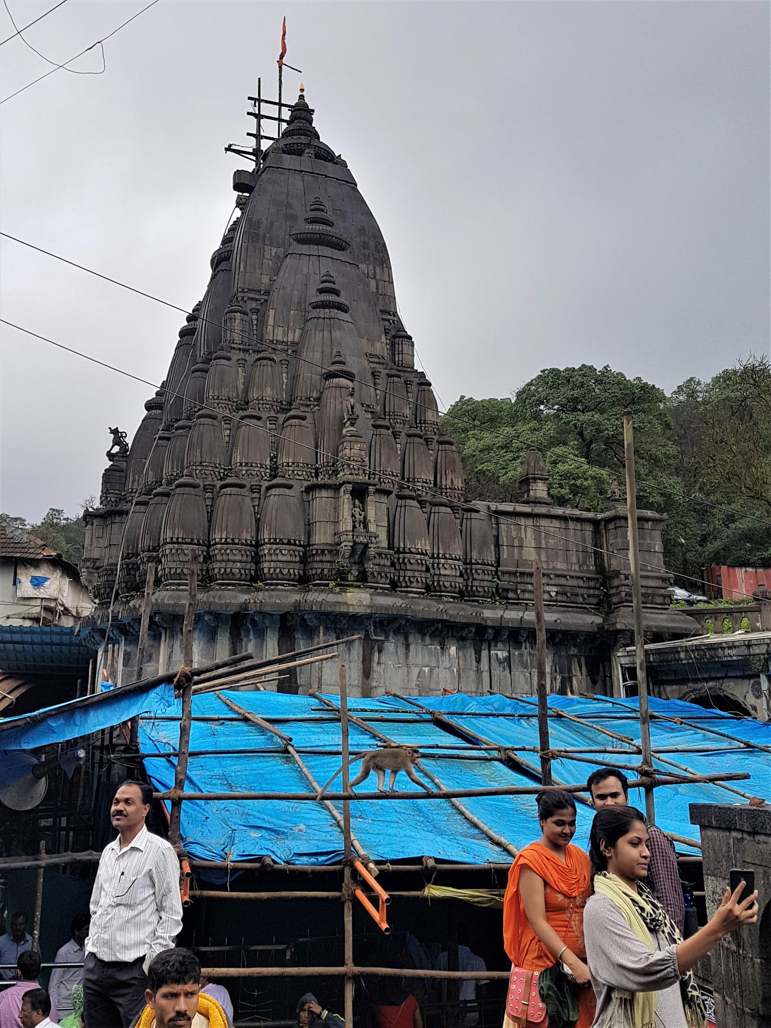 Bhimashankar Trek: A Perfect Combo Pack of Adventure,Nature and ...