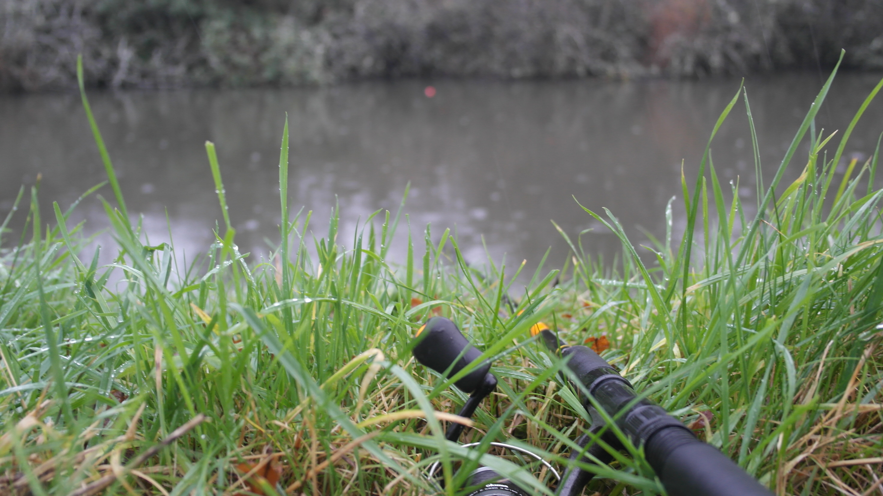 Piscatorial Quagswagging: (Not Quite) The Close Season Zander Quest Pt ...