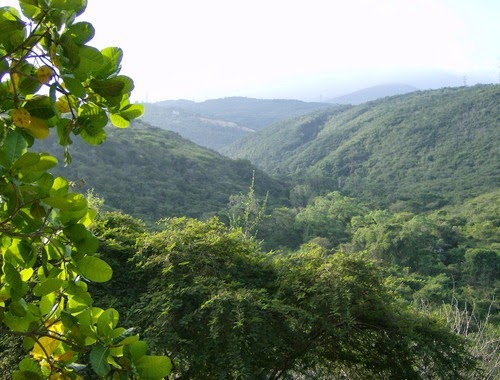 Características De Venezuela: Características de la Región Centro ...