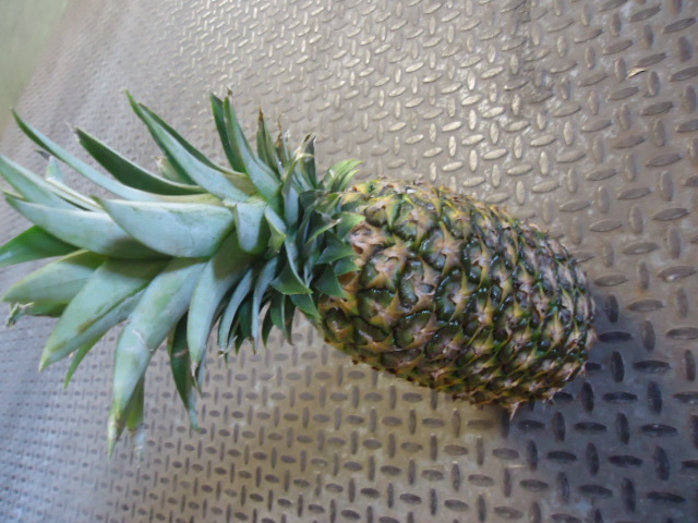 Piña tropical / Ananas / Escala Traslucencia / Escala colores ...