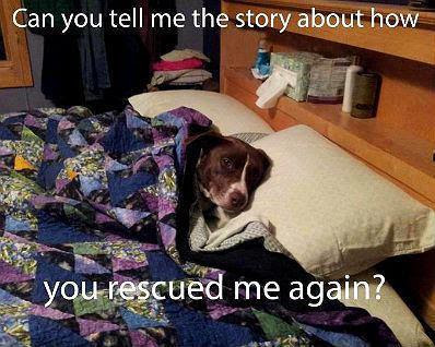 NEVER...EVER...GIVE UP HOPE : Quotes That Make You Go "Huh?"