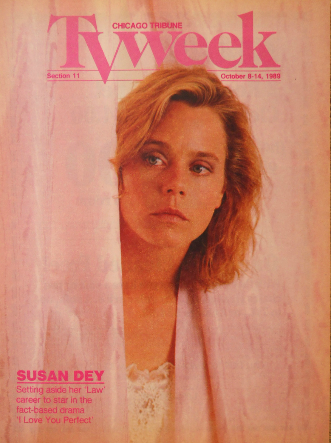 Everything Susan Dey: Susan Dey: on the cover