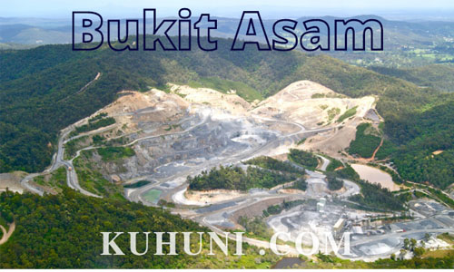 Laba Bersih Bukit Asam (PTBA) Kuartal 1 2021 Turun 44,58 Persen - Kuhuni.com