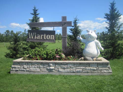 Life Is Better On Vacation: Wiarton Willie