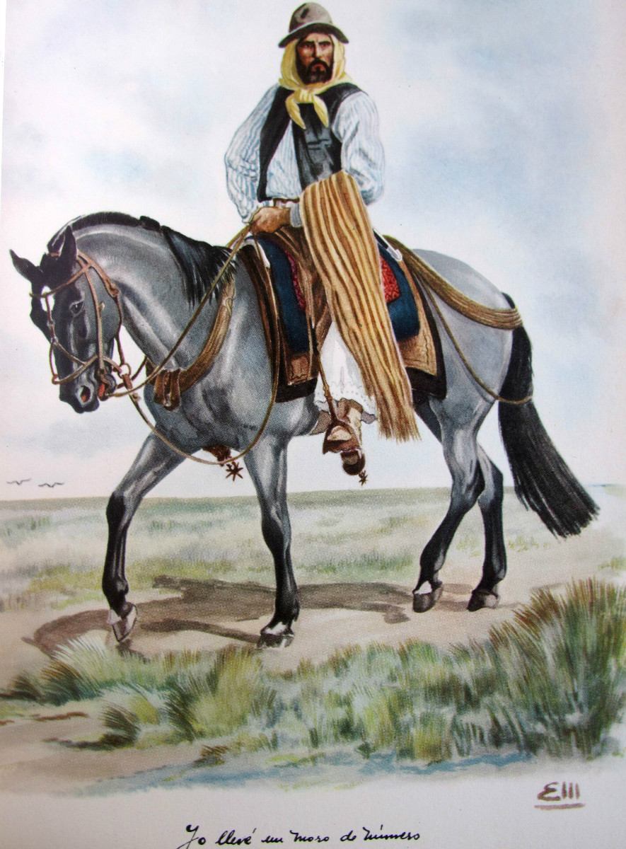 Libros y Sueños: "Martín Fierro" pieza fundamental de la literatura ...