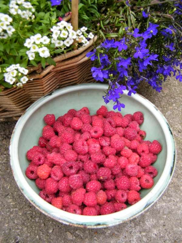 Peter's Pottery: Raspberry, Biscuit or Bisque? High Fired Glazes Q and A.