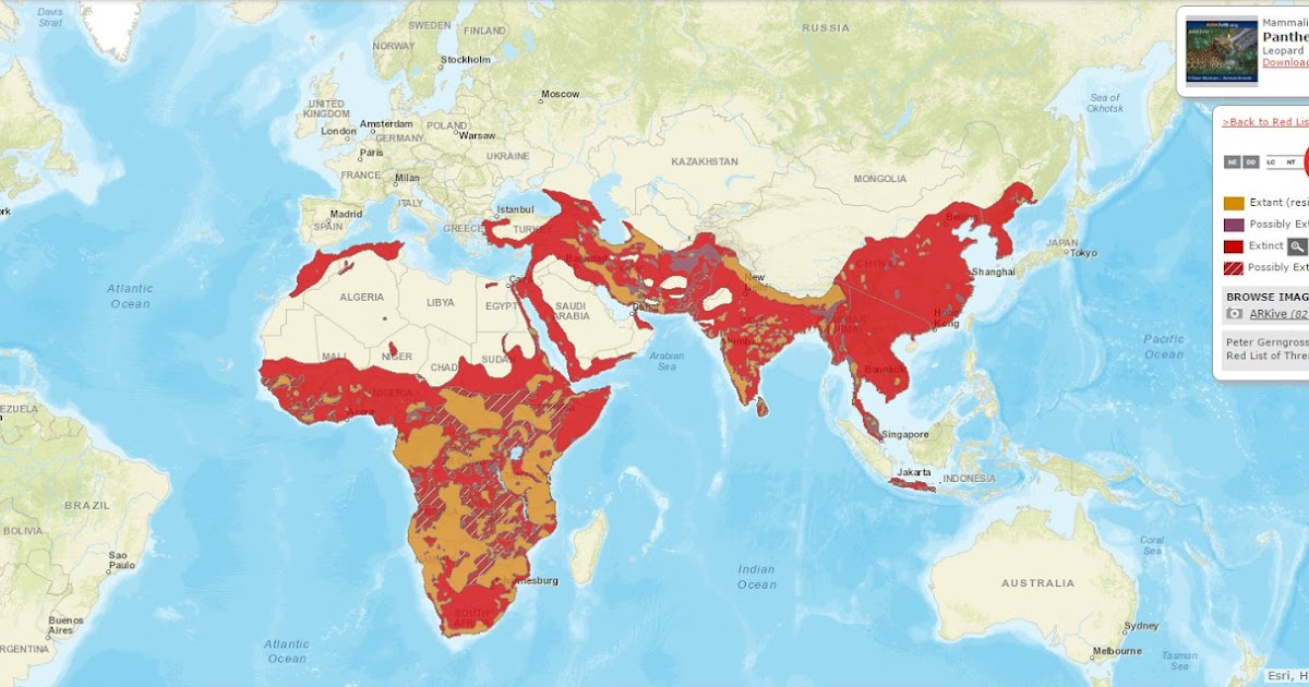 Mapping Endangered Species
