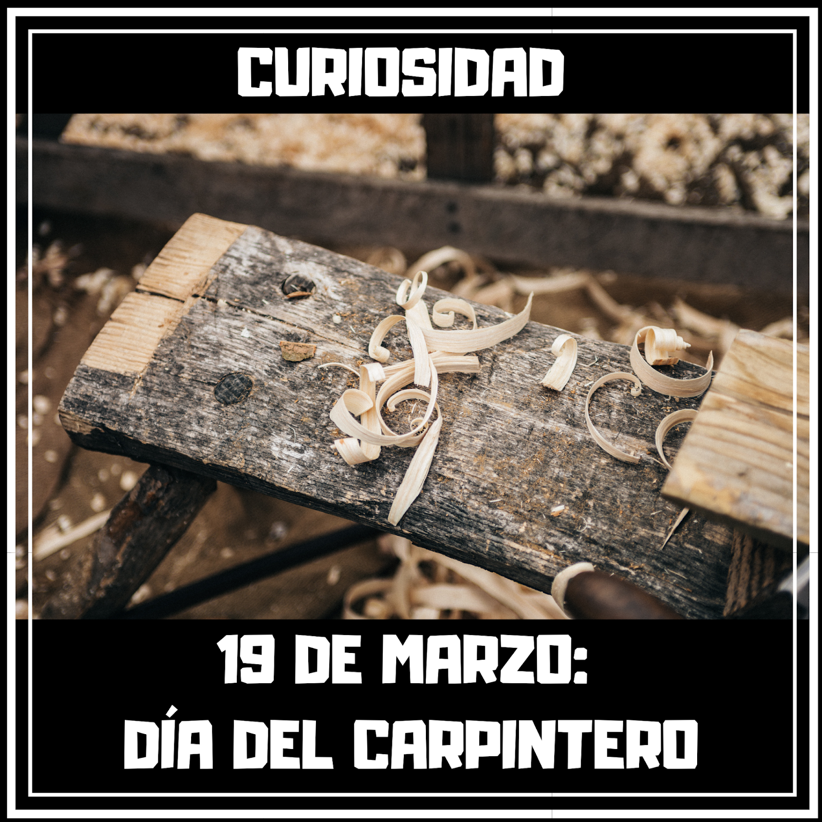 Proyecto Engloba: LOS CARPINTEROS