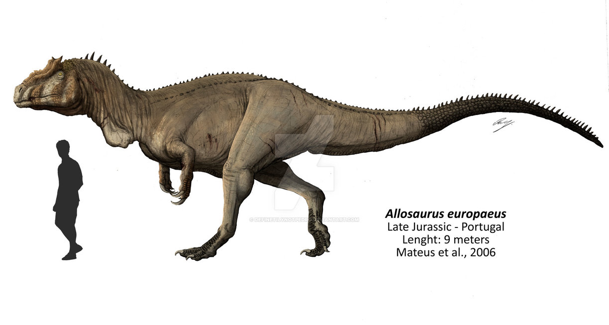 Reil: Allosaurus europaeus