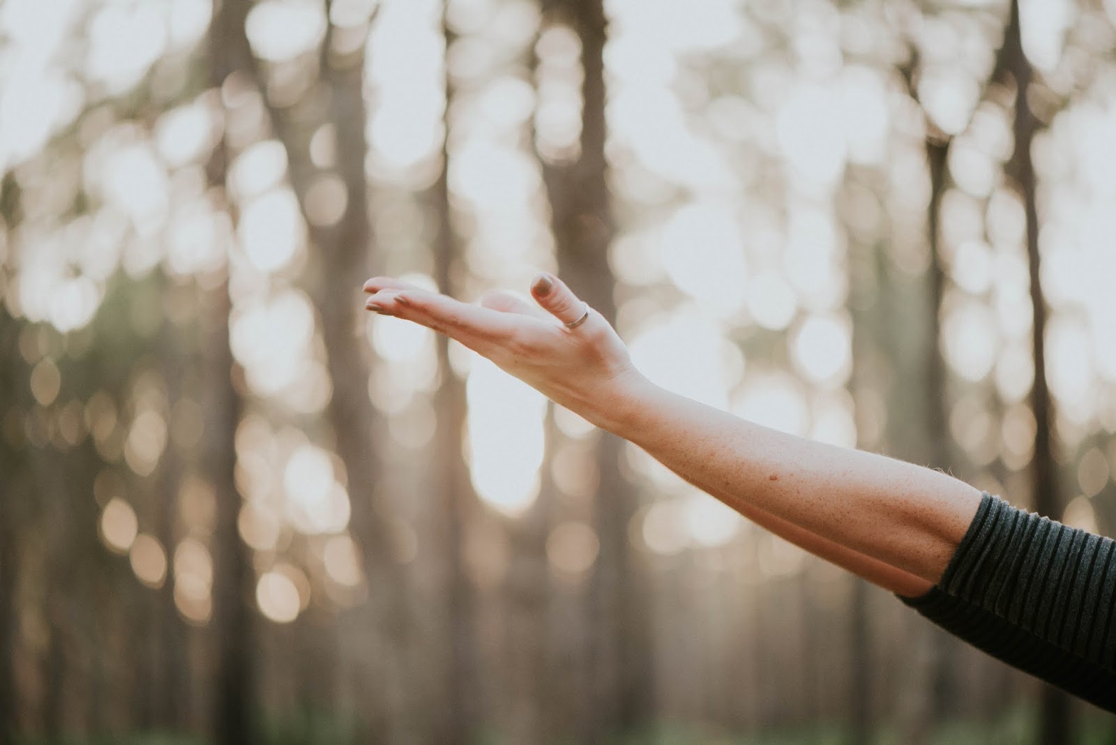 Why Pilates Is The Perfect Exercise In Older Age Seniorcare Cary why-pilates-is-the-perfect-exercise-in-older-age-seniorcare-cary