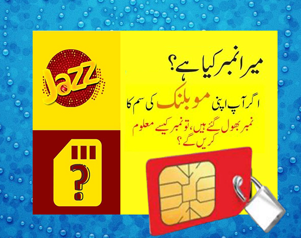 How to Check Jazz Number via SMS, US - Mobile Apps