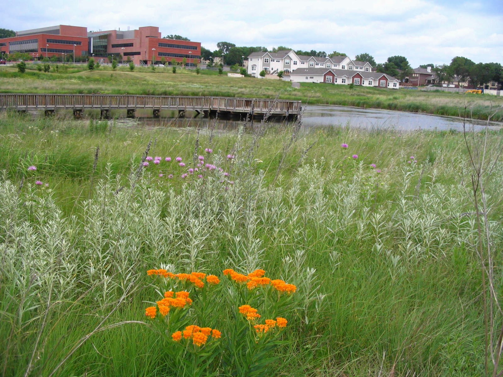 The Ripple Effect: Willow, Water and Winter Bonding with Ames Lake