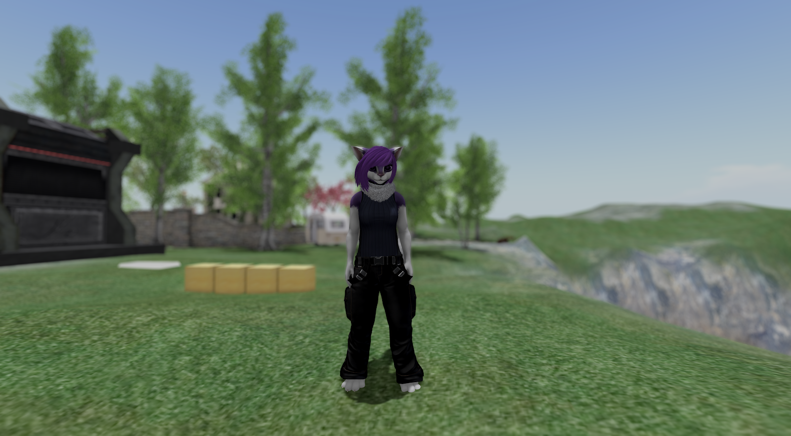 Black Dragon Viewer Black Dragon Viewer Update 2 5 Delta 3 black-dragon-viewer-black-dragon-viewer-update-2-5-delta-3
