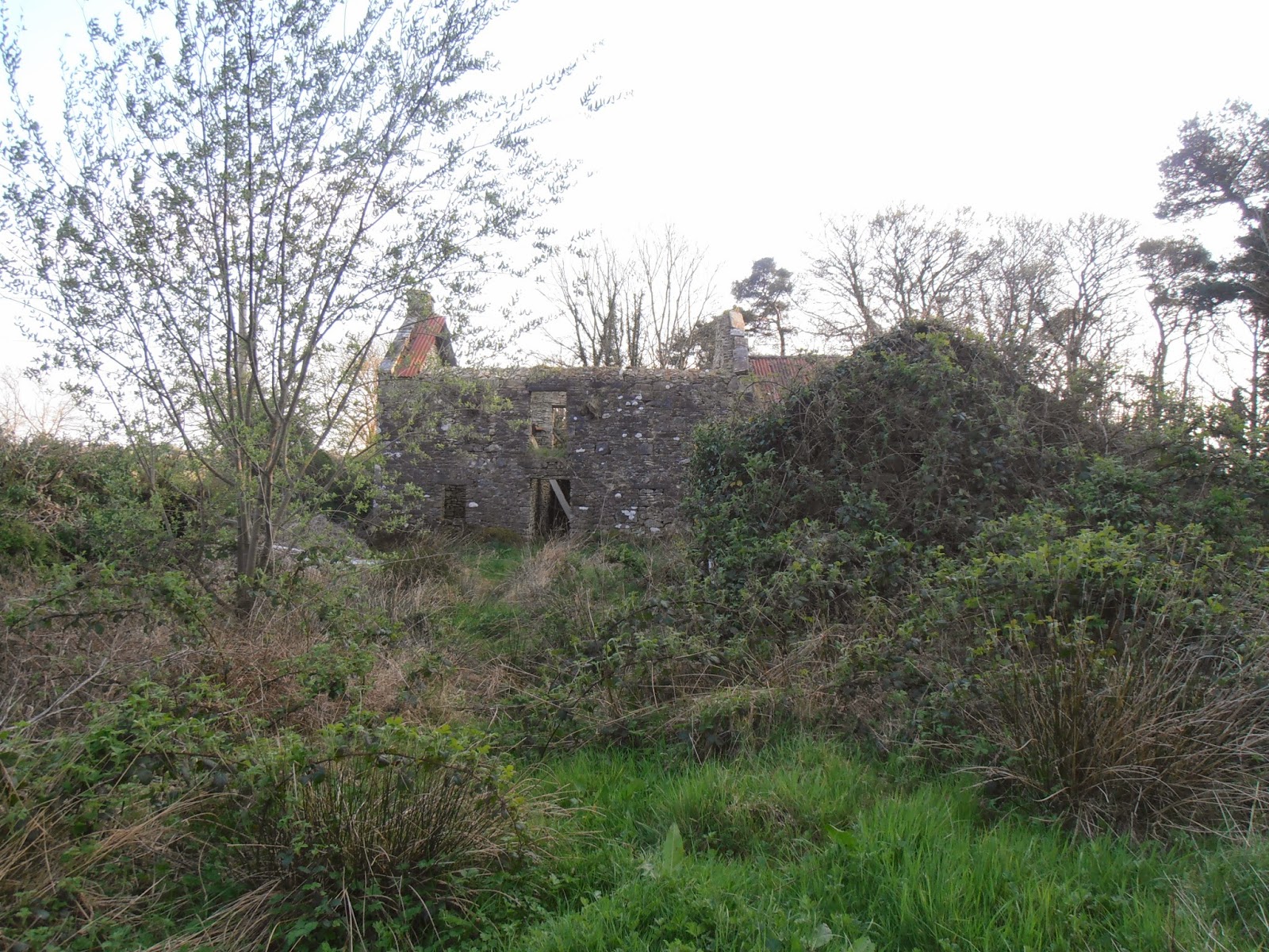 A Journey into the Past: Famine Houses