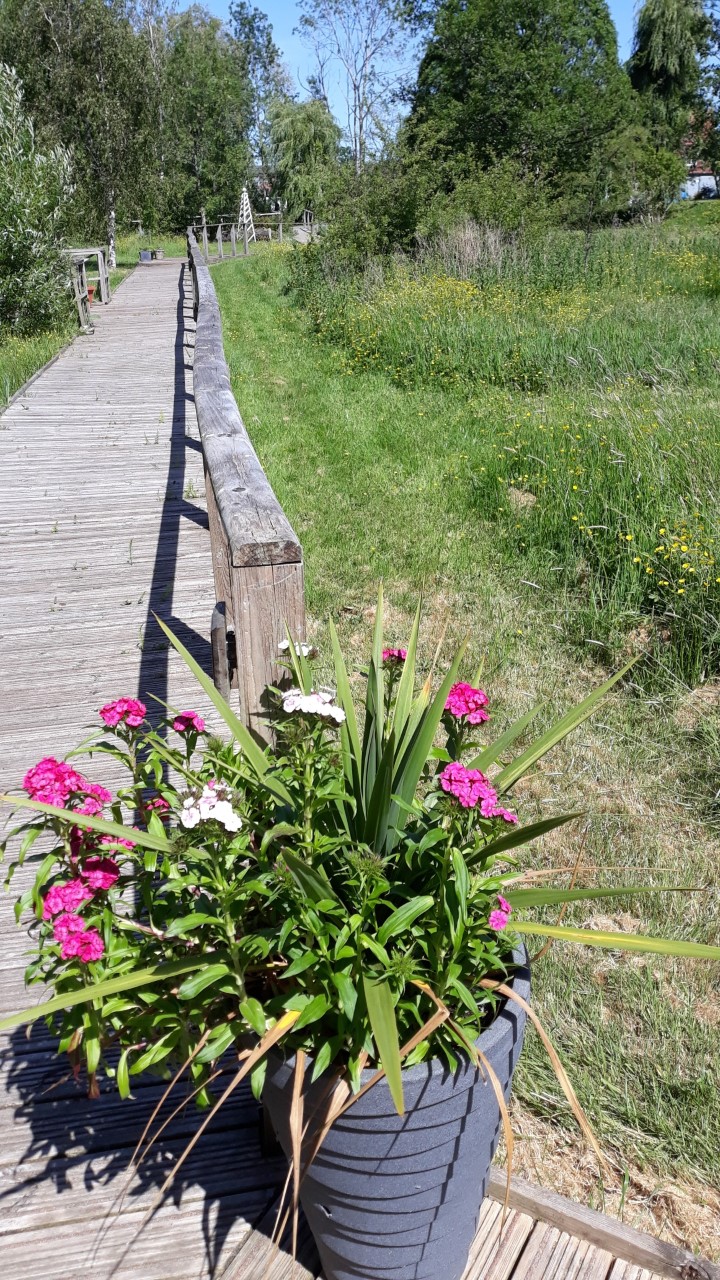 NMC walks with Matthew Lanham