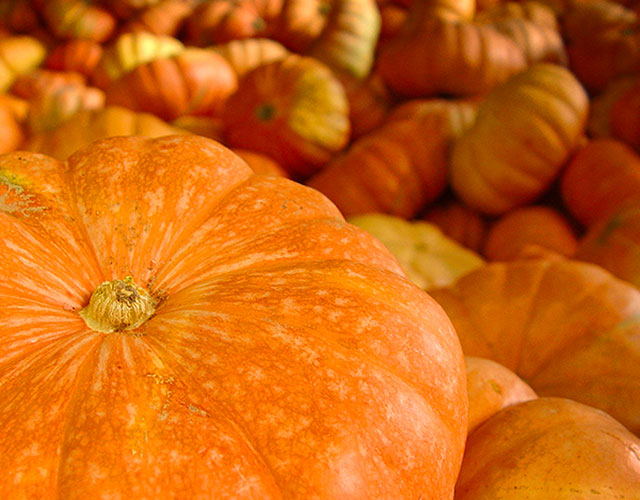 Conheça os benefícios da abóbora moranga
