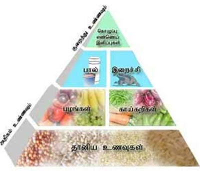 Dr.Senthil Kumar Homeopathy Clinic - Velachery - Panruti - Chennai ...