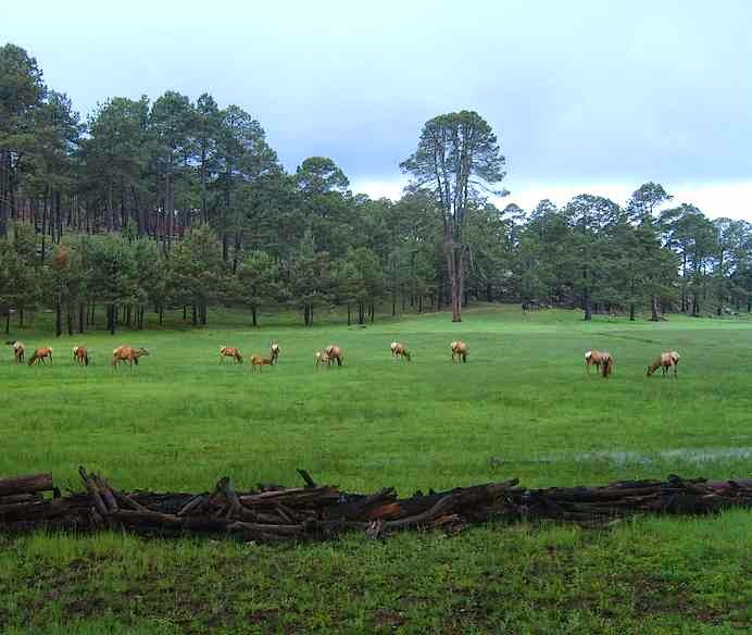 como es durango: Parque Ecológico El Tecuán