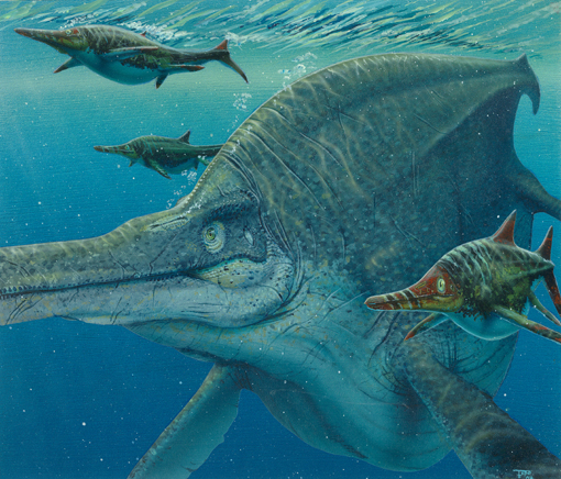 a mesozoic field guide: The Ichthyosaurs