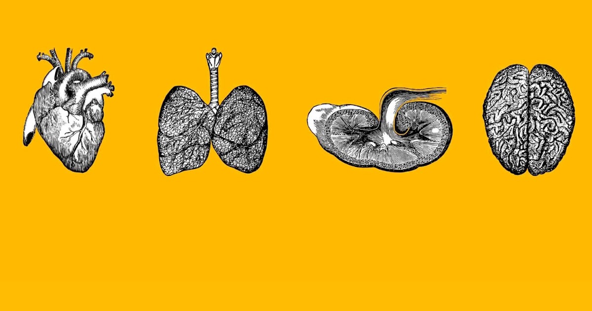 Two Birds in a Tree: MBTI: The Cognitive Functions