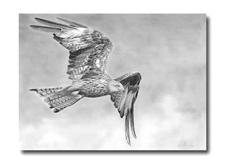 Nolon Stacey - A Pencil Artist's Blog: June 2011