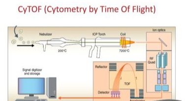 News in Proteomics Research: CyTOF data on single cells for 281 cancer ...
