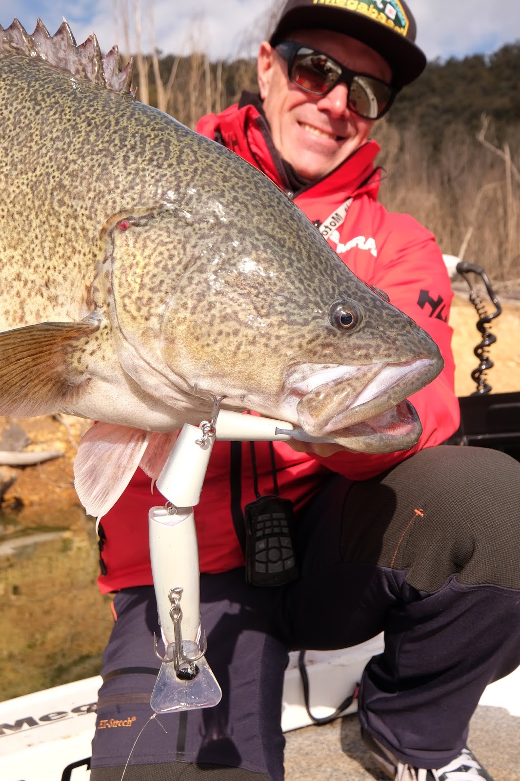 Megabass Garuda, the ultimate Murray Cod Swimbait?