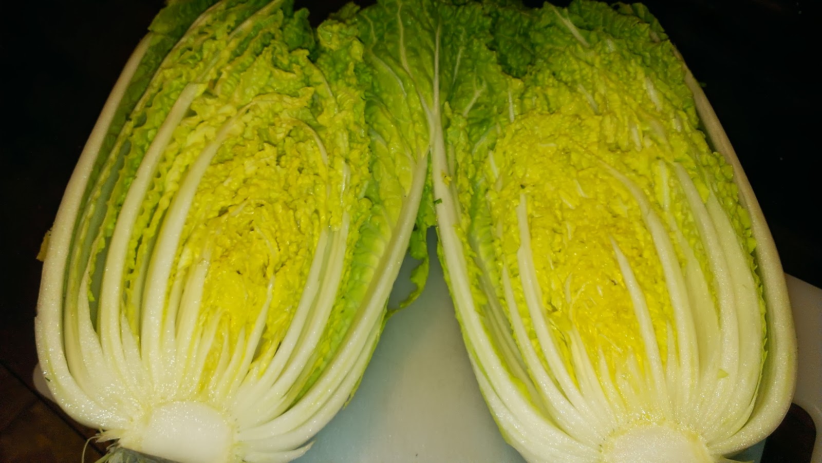 Glut: a year in my patch: Saturday Spotlight: Mini Wombok