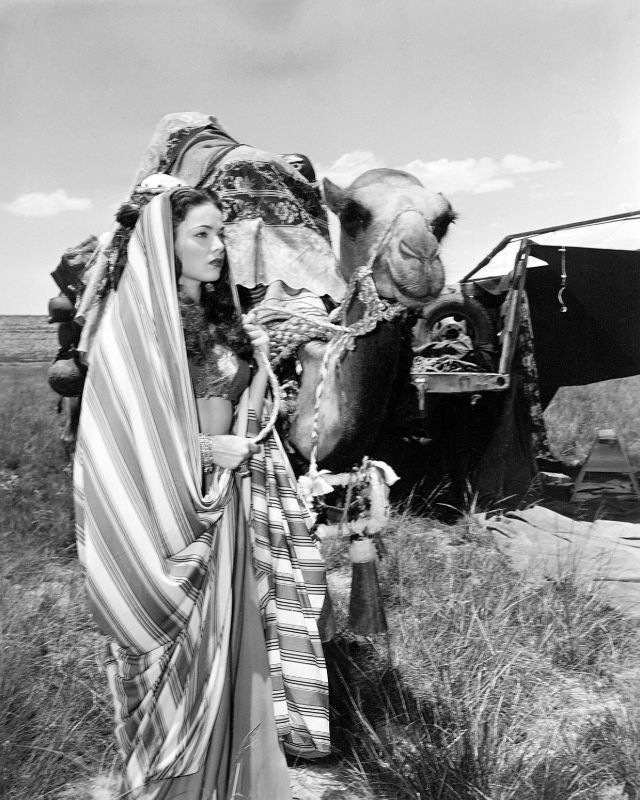 33 Gorgeous Photos of Gene Tierney During Filming “Sundown” in 1941 ...