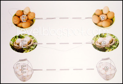 Pre-Nursery : Ee - Eggs - Lievell