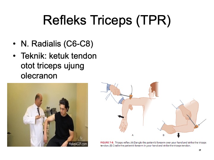 Pemeriksaan Refleks: FK semester 1