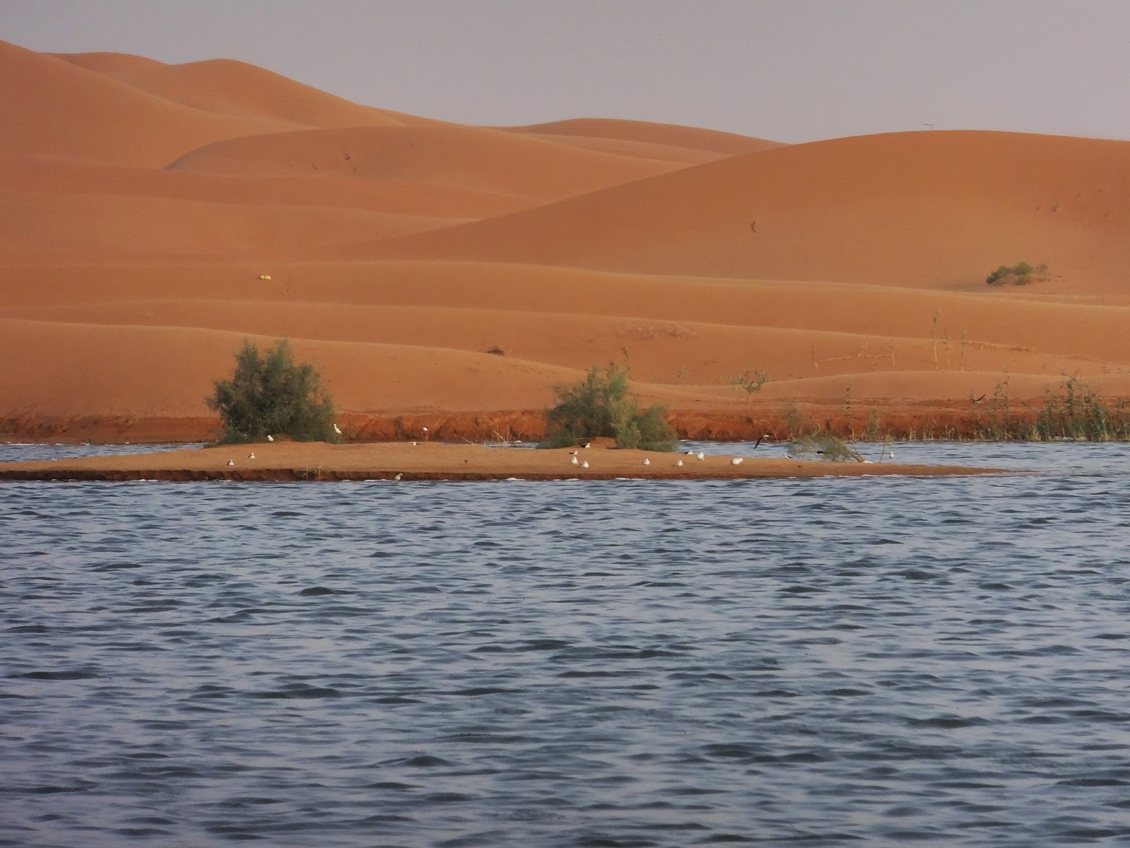Adventures in Home Education: Zakher Lake and Jebel Hafeet at Night