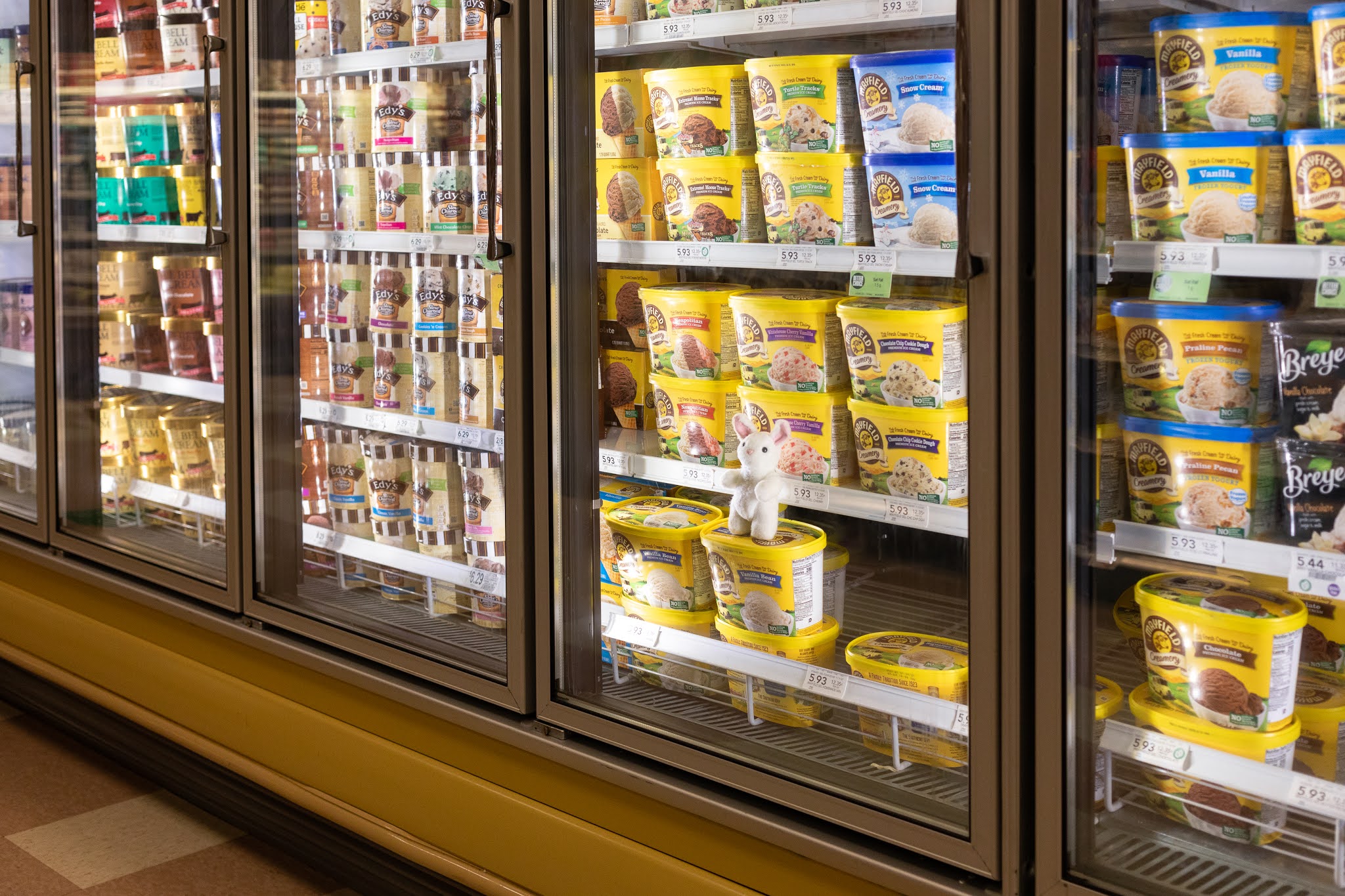 Trapped in the Freezer - Mia Rabbit