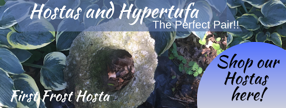 The Homestead Village: Hypertufa 101 - The Basics